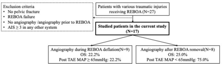 Safety or speed? Assessing alternative vascular access for angiography ...
