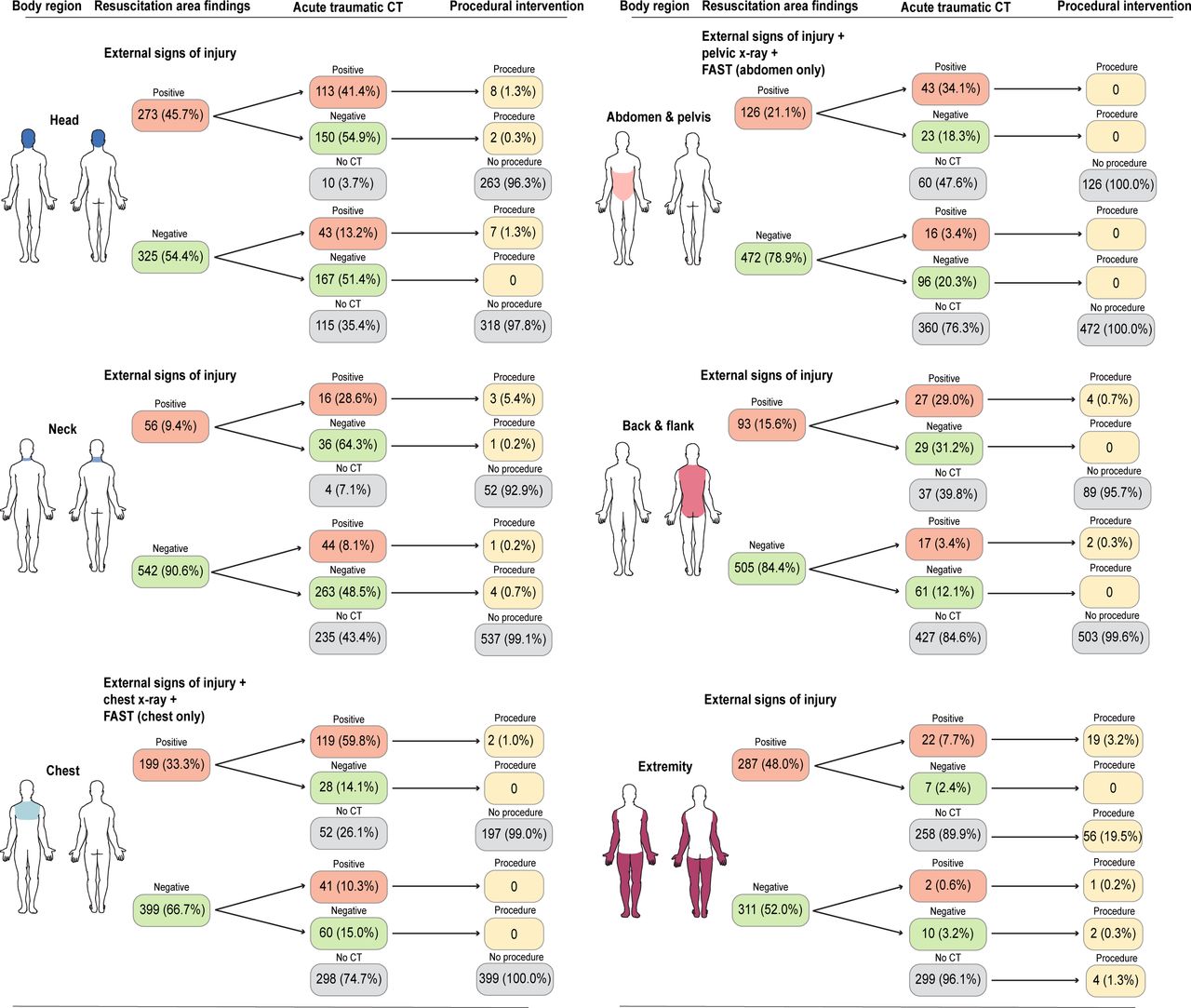 CT pan-scanning versus targeted imaging among older adults after ground ...
