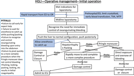 High-grade liver injury: outcomes with a trauma surgery–liver surgery ...